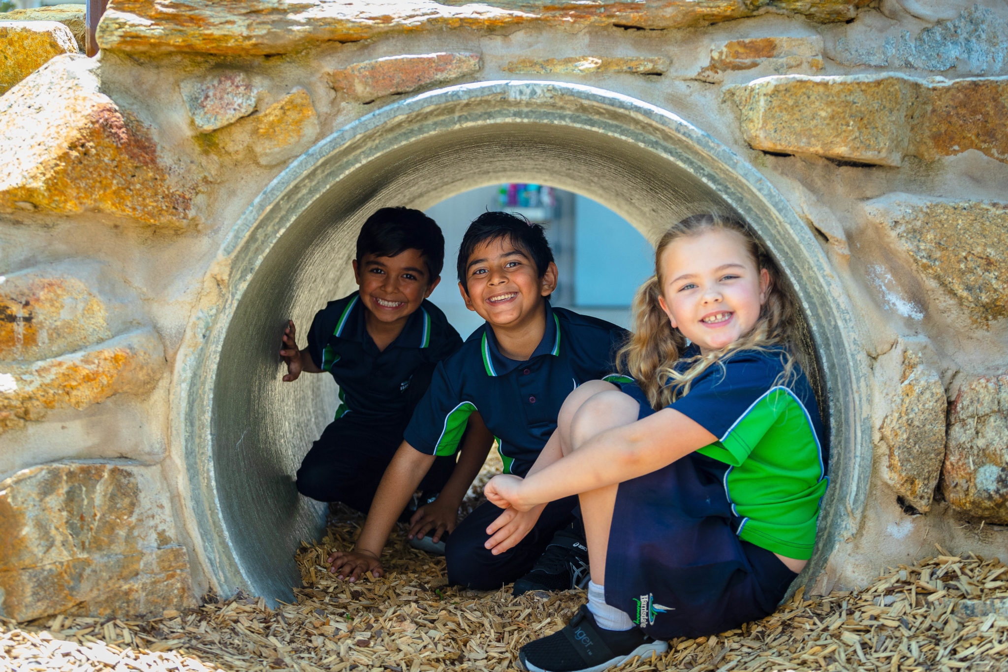 Image Gallery - Harrisdale Primary School